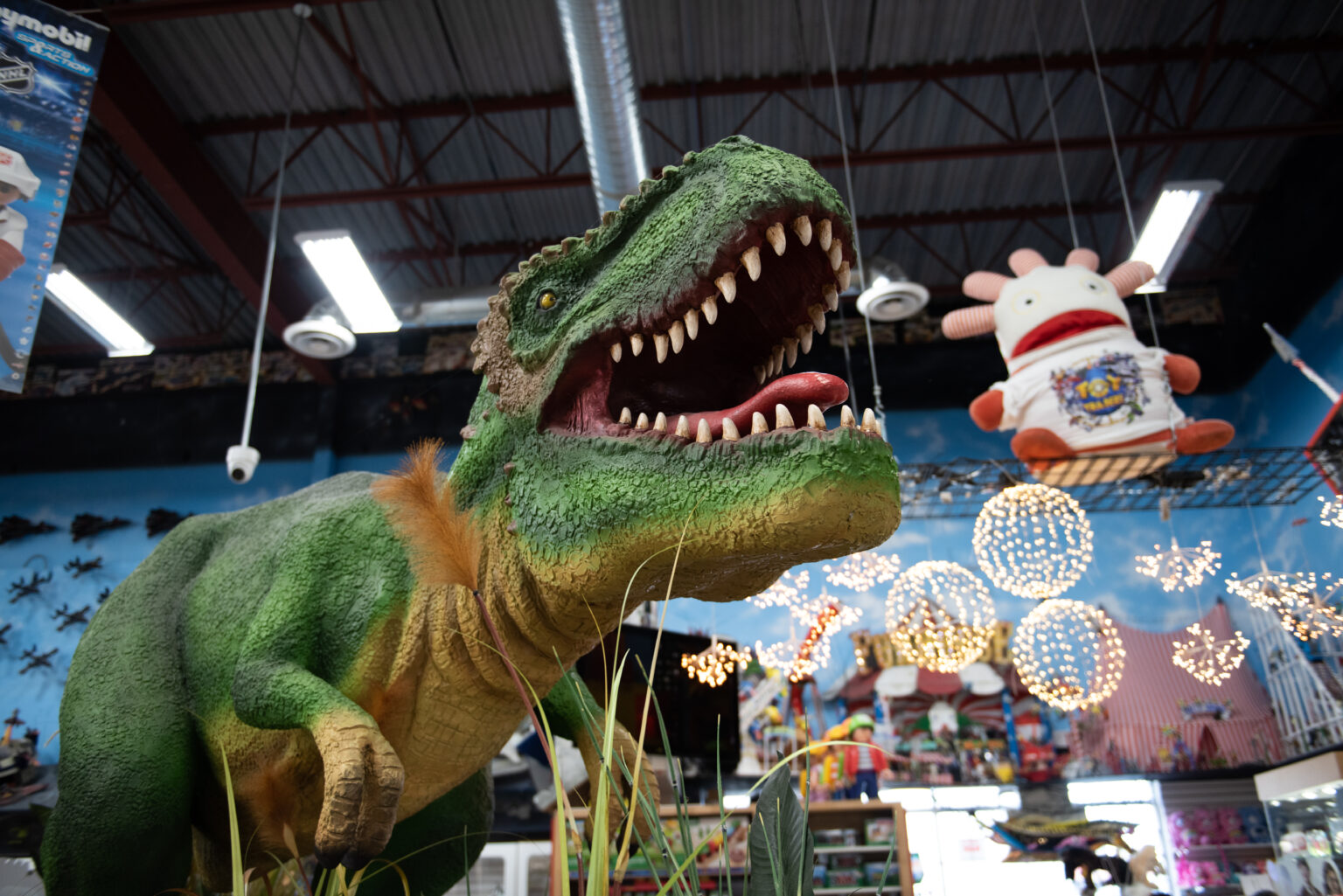 Displays – Canada's Largest Toy Store | Toy Traders